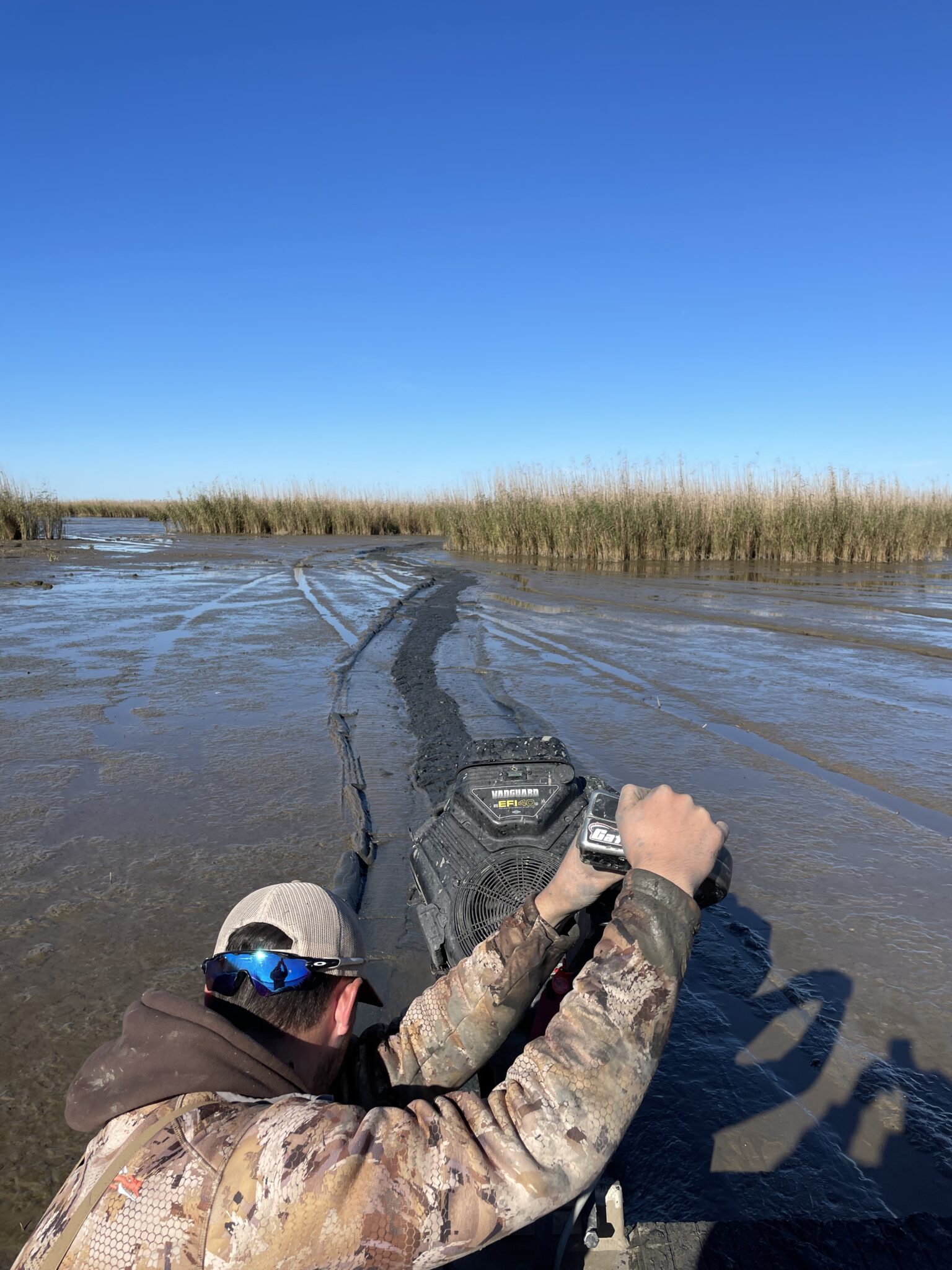 The 50 Ducks Story - 50 Ducks