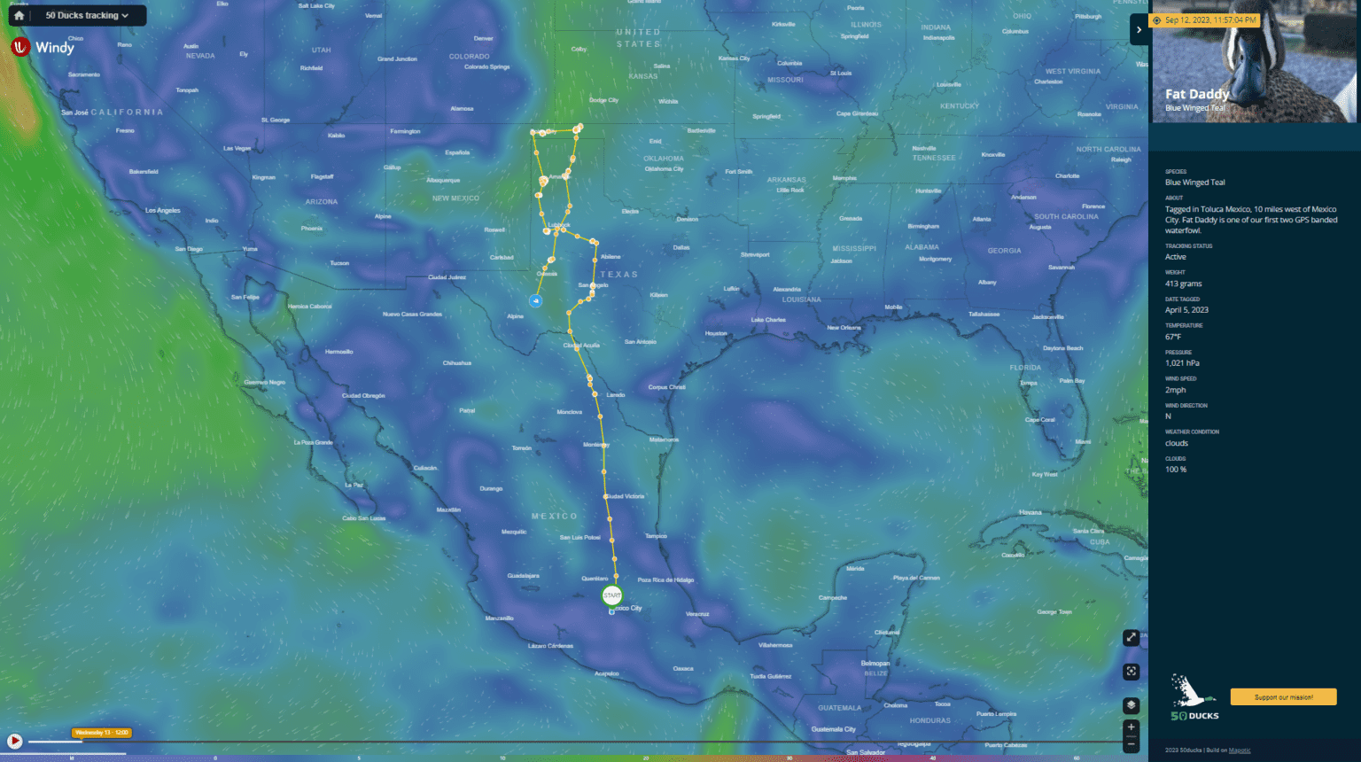 Duck Tracker & Waterfowl Migration | In Real-Time | 50 Ducks