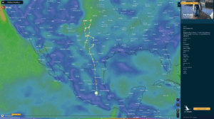 Duck Tracker & Waterfowl Migration | In Real-Time | 50 Ducks