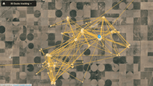 Duck Tracker & Waterfowl Migration | In Real-Time | 50 Ducks