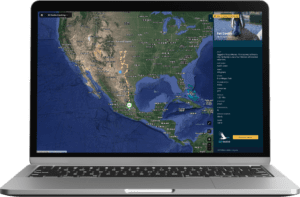Duck Tracker & Waterfowl Migration | In Real-Time | 50 Ducks