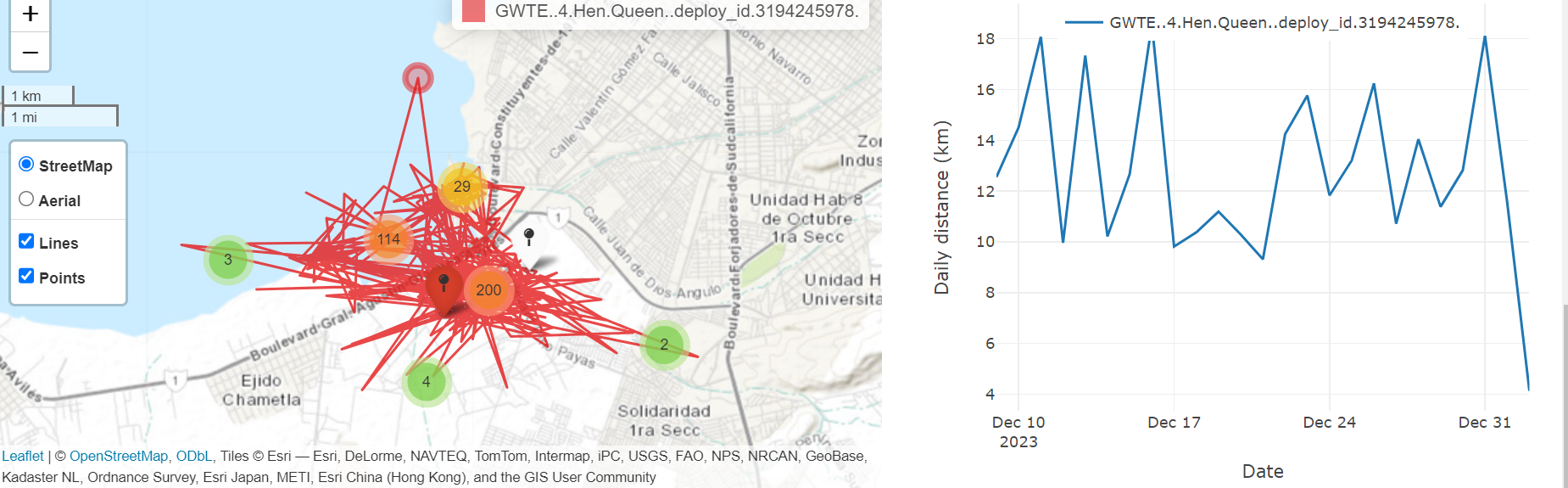Waterfowl Movement Report - 50 Ducks