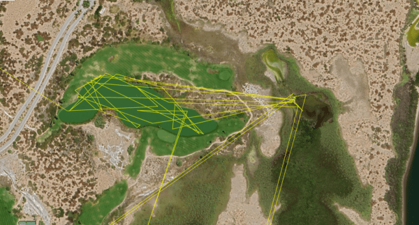 Duck Tracker & Waterfowl Migration | In Real-Time | 50 Ducks
