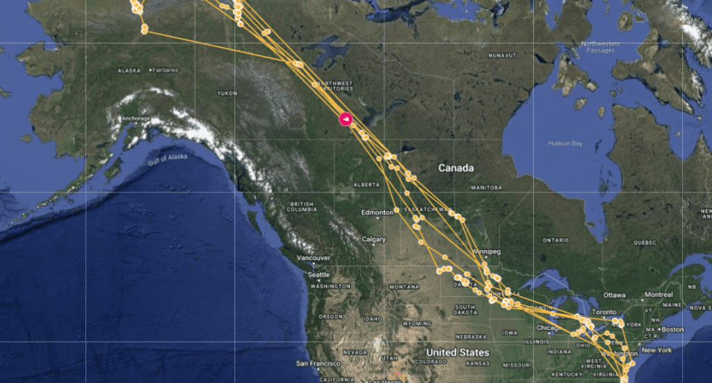 Duck Tracker & Waterfowl Migration | In Real-Time | 50 Ducks