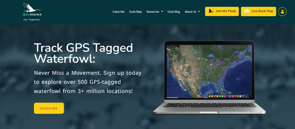 Live Duck Migration Map | Comparison Guide | 50 Ducks