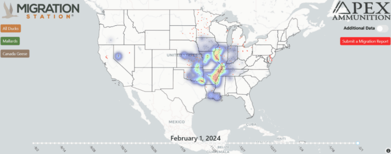 Live Duck Migration Map | Comparison Guide | 50 Ducks